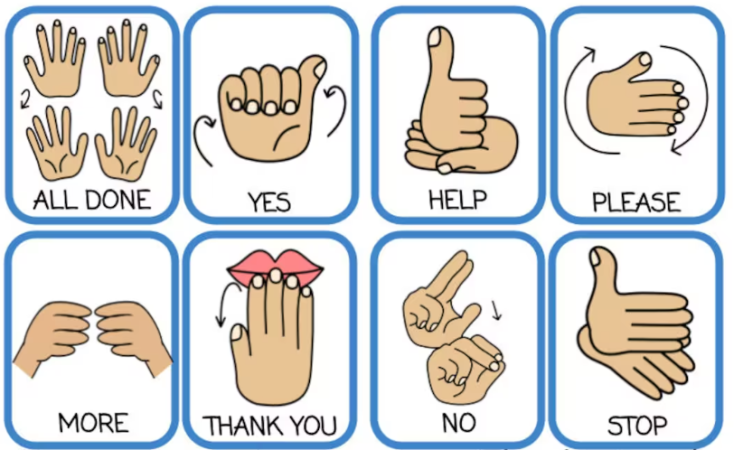 수어 관련 영어 표현, rely on hand gestures, convey ones intentions, play a ...