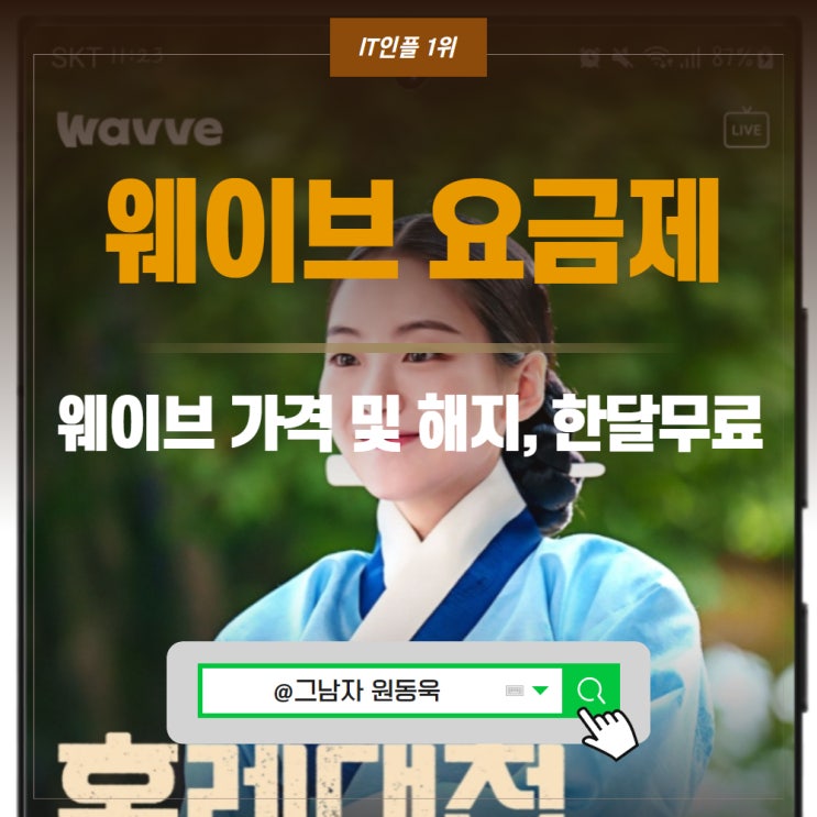 wavve 웨이브 요금제 이용권 100원 및 웨이브 한달무료 해지 꼼꼼 정리 : 네이버 블로그