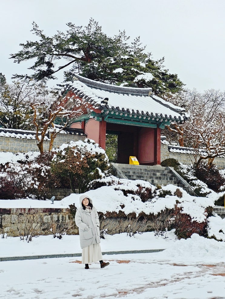 강릉 오죽헌 화폐 속 그곳 신사임당 율곡 이이 생가 뜻 입장료 주차 시간 네이버 블로그