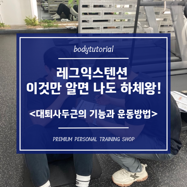 역삼pt 운동 초보자를 위한 대퇴사두근 운동 가이드 네이버 블로그