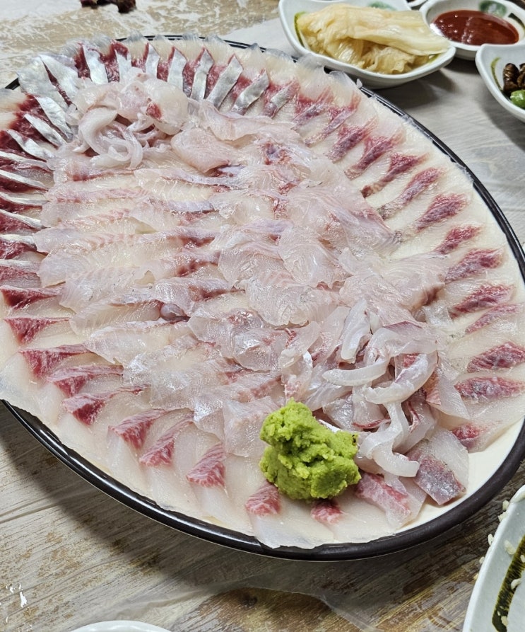 부산 강서구 신호동 가성비 좋은 회 맛집 신호 회센터 포항횟집 신호 초장집 후기 네이버 블로그