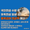 국민연금 수령 중 유족연금 발생중복급여 시 수령금액유족연금 지급제한 유족범위 등 네이버 블로그