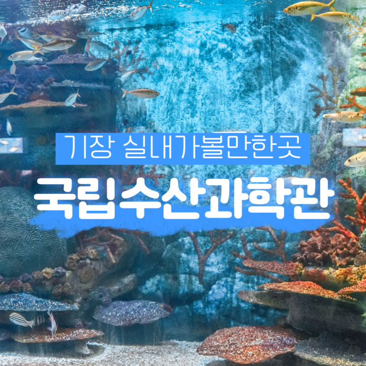 부산 아이와 가볼만한곳 기장 국립수산과학관 주차 입장료 시설안내 네이버 블로그