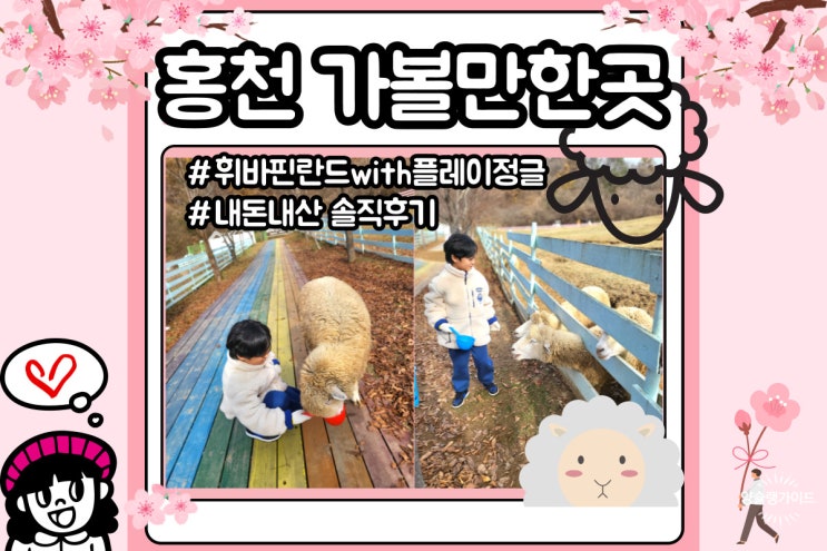 강원도 홍천 가볼만한곳 양떼목장 아이와 함께 먹이 체험 휘바핀란드 플레이정글 네이버 블로그