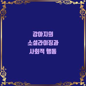 강아지의 사회성 소셜라이징의 중요성 : 네이버 블로그