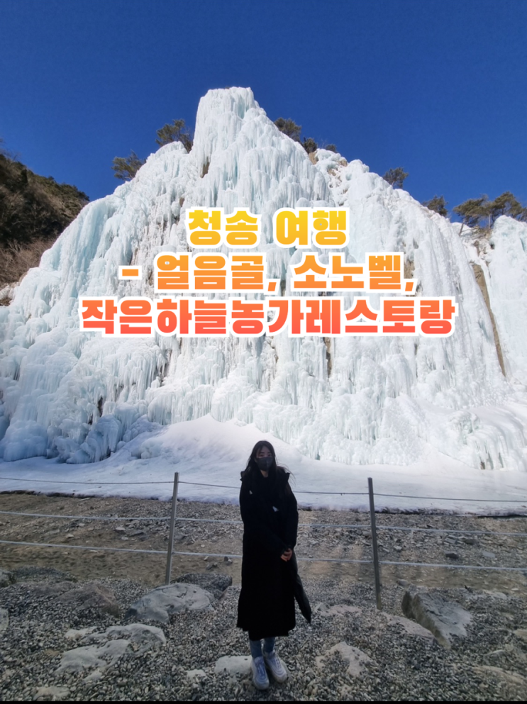겨울 청송 여행 얼음골 소노벨 대명리조트 솔샘 온천 작은하늘 농가 레스토랑 사과돈까스 네이버 블로그