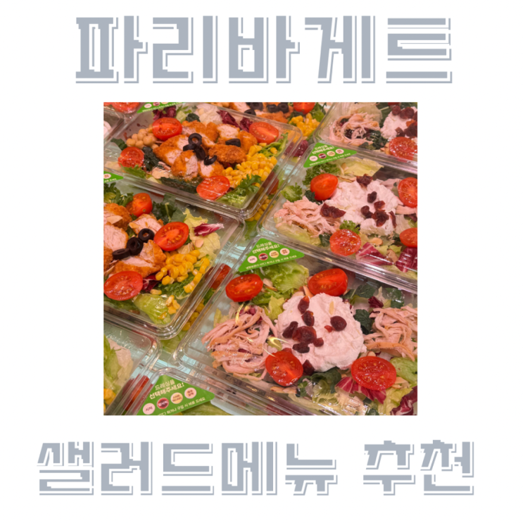 파리바게트 샐러드 샌드위치 메뉴 파리바게트 샌드위치 파리바게트 샐러드 샐러드 랩 파리바게트 칼로리 파리바게트