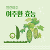 여주환효능 혈당조절 Ft 말린여주 여주가루 여주즙 여주차 먹기편한 여주정 국내산 여주 네이버 블로그