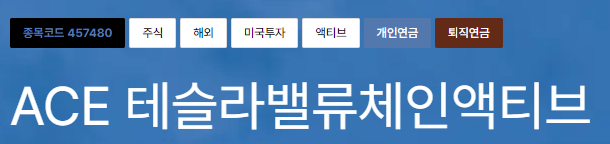 테슬라 ETF 비교해 봤다 KODEX, ACE 테슬라벨류체인액티브 : 네이버 블로그