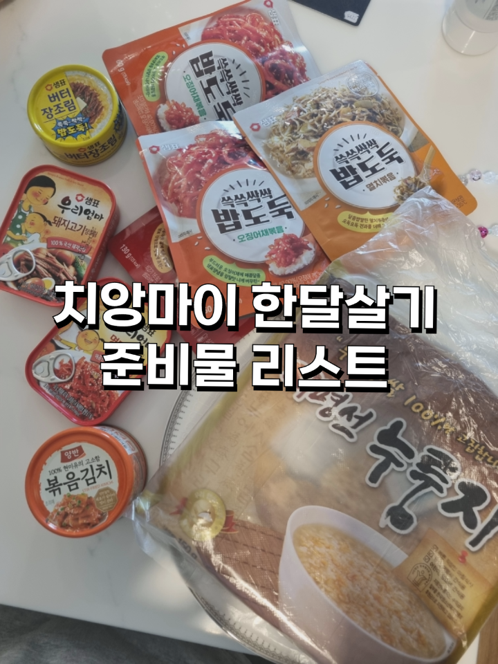1월 2월 치앙마이 날씨 한달살기 필수 준비물 리스트 엑셀파일 첨부 네이버 블로그