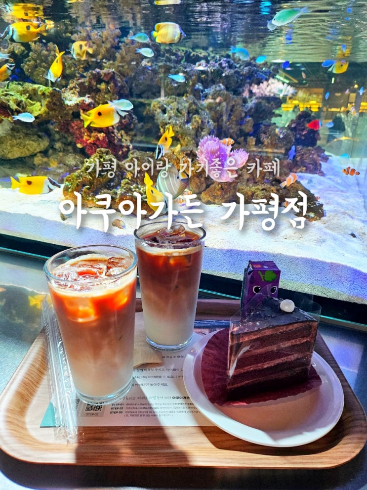 가평 아이랑 실내 가볼만한곳 깨끗한 대형수족관 카페 아쿠아가든 가평점 네이버 블로그