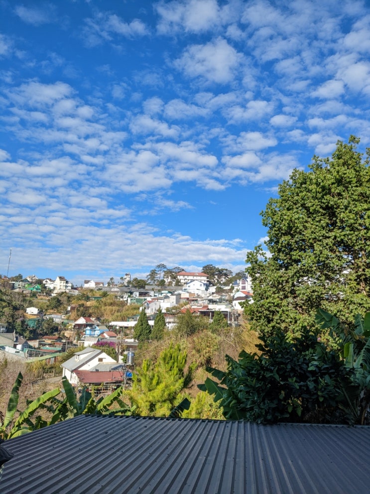 베트남 달랏 한 달 살기 28/32 :: 조식 노상 후띠유, 몽고랜드 mongo land, KDL 카페, 라도택시투어 : 네이버 블로그