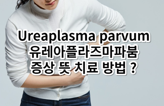 Ureaplasma parvum 유레아플라즈마파붐 증상 뜻 치료방법 기간 총 정리! : 네이버 블로그