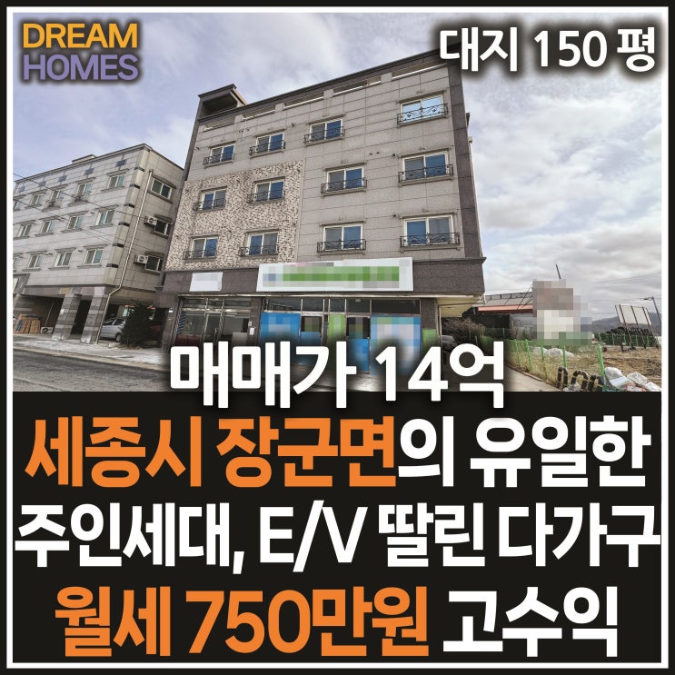 도로변에 맞닿은 북향땅에 공실없는 세종시 다가구 주택 매매 주인세대 및 엘레베이터있어요 네이버 블로그