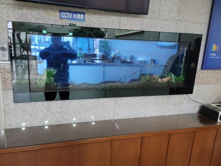 용인 수지구 성복동 빈집 가구버리기 붙박이장철거 베란다 원목가구수거 대형 가죽소파철거 사업장 붙박이 수족관 철거 업체 네이버 블로그
