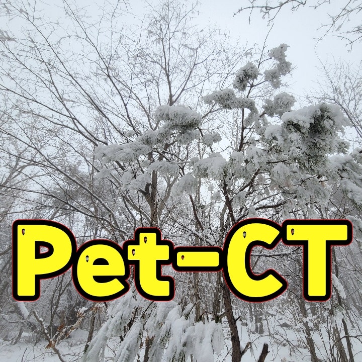 27편) 림프종 항암치료 pec-CT 양전자단층촬영, 전신 암진단 PEC 방사성동위원소 약물 투입 팻씨티 검진 결과 눈산행,얼음 ...