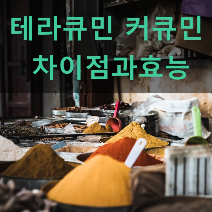 관절염완화 테라큐민 커큐민 차이점과 효능 네이버 블로그
