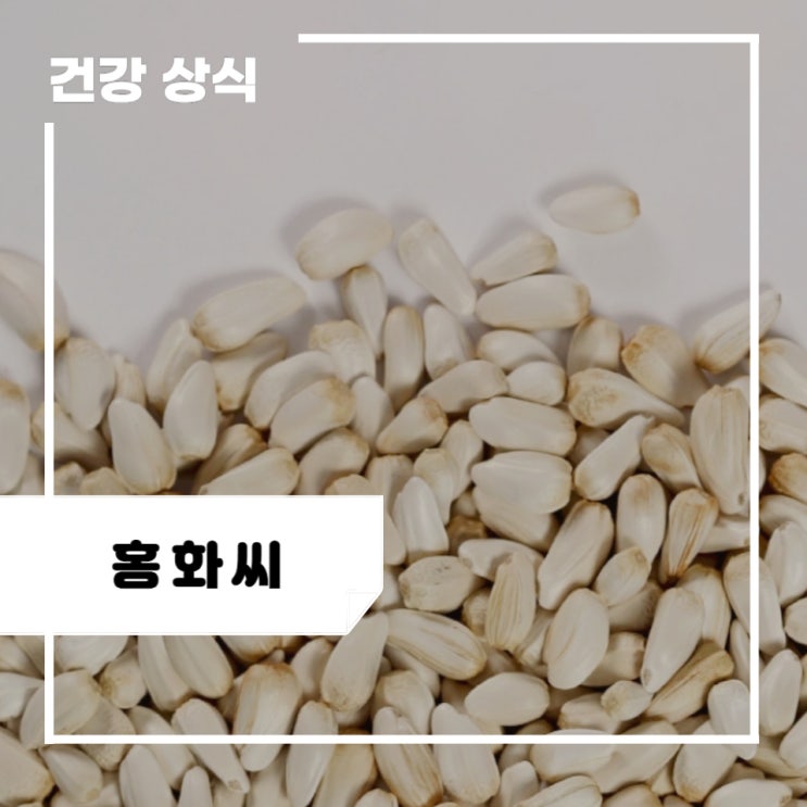 홍화씨 효능 5가지 부작용 복용법 홍아씨환 분말 가루 기름 오일 차 네이버 블로그
