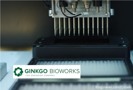 종목 찾기 - (9) Ginkgo Bioworks Holdings 깅코 바이오웍스 (Ticker : DNA) : 네이버 블로그
