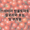 해운대헬스장 스테비아 방울토마토 칼로리와 효능 및 부작용 네이버 블로그