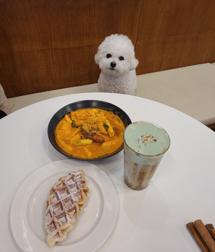 안산 실내 애견동반카페 강아지동반식당 떡볶이와 크로플이 맛있는 머스트픽 상록수본오점상록수역 붕어빵 맛집 네이버 블로그
