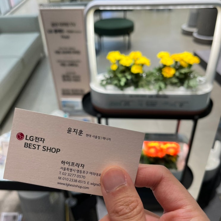 어느 플로리스트의 Lg전자 베스트샵 상담후기 여의도 더현대점 Lg틔운 상담후기 네이버 블로그