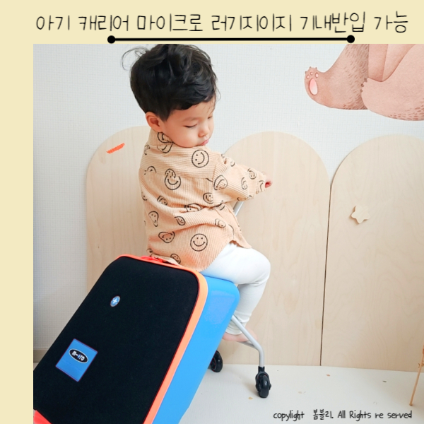 아기 캐리어 마이크로 러기지이지 기내반입 가능 네이버 블로그