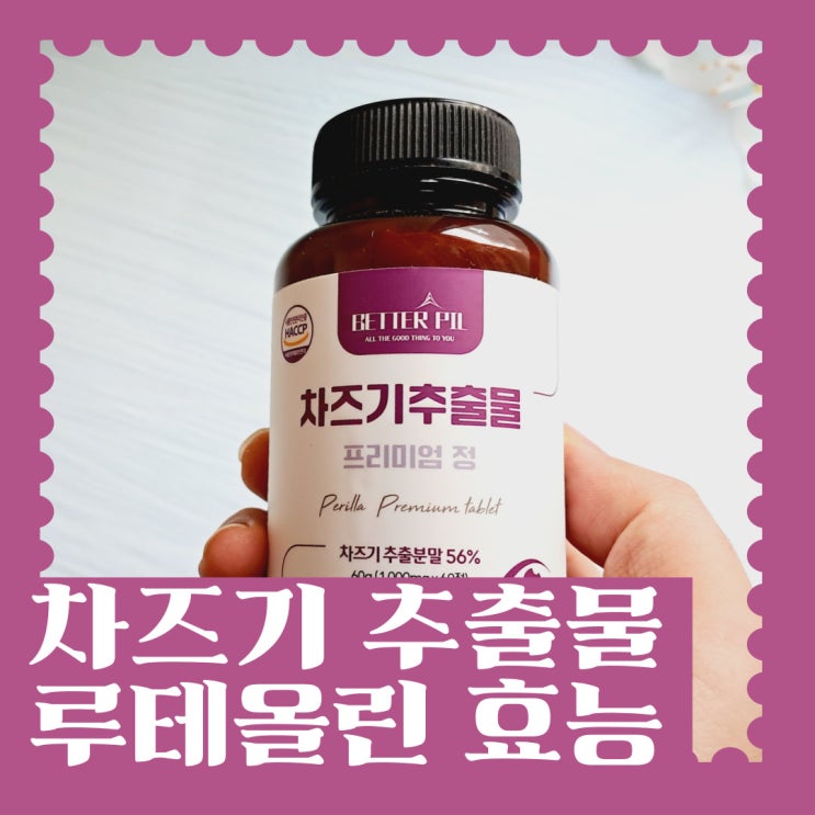 차즈기 효능 자소엽 추출물 루테올린 눈 피로 도와 네이버 블로그