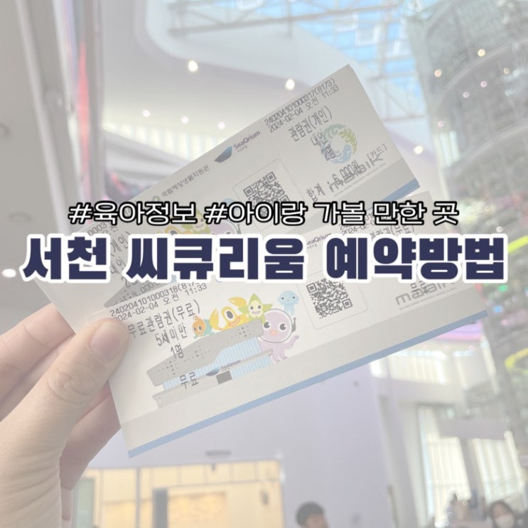 서천 씨큐리움 예약 고래고래 성공방법 주변놀거리 네이버 블로그