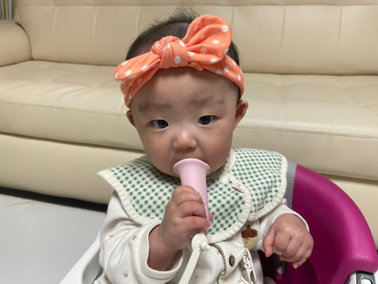 7개월 아기 이앓이과자 티딩러스크 추천 ‘앙파파 투씨러스크 홀더세트 네이버 블로그