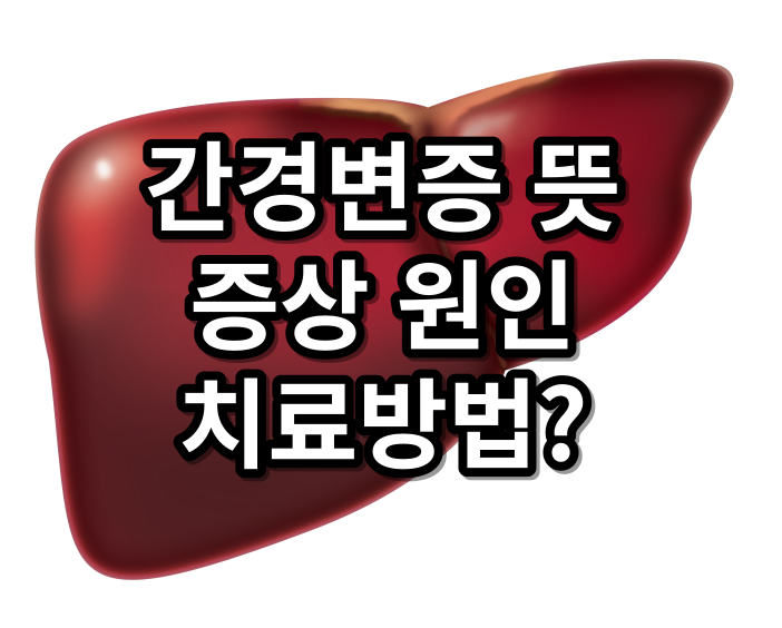 간경변증 증상과 원인 치료 방법은? : 네이버 블로그
