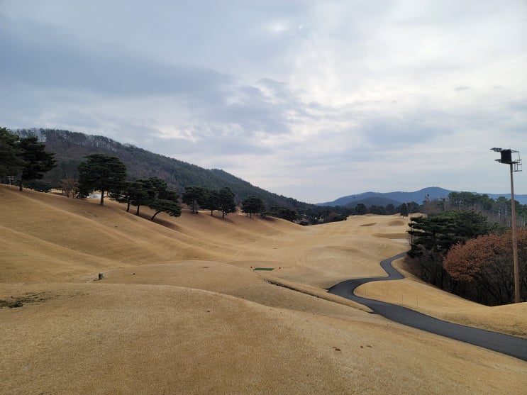경기 용인 한림용인cc 다이아몬드코스 사파이어코스 후기 한림용인cc 클럽하우스 식사 2월 잔디상태 레이디티 골프존