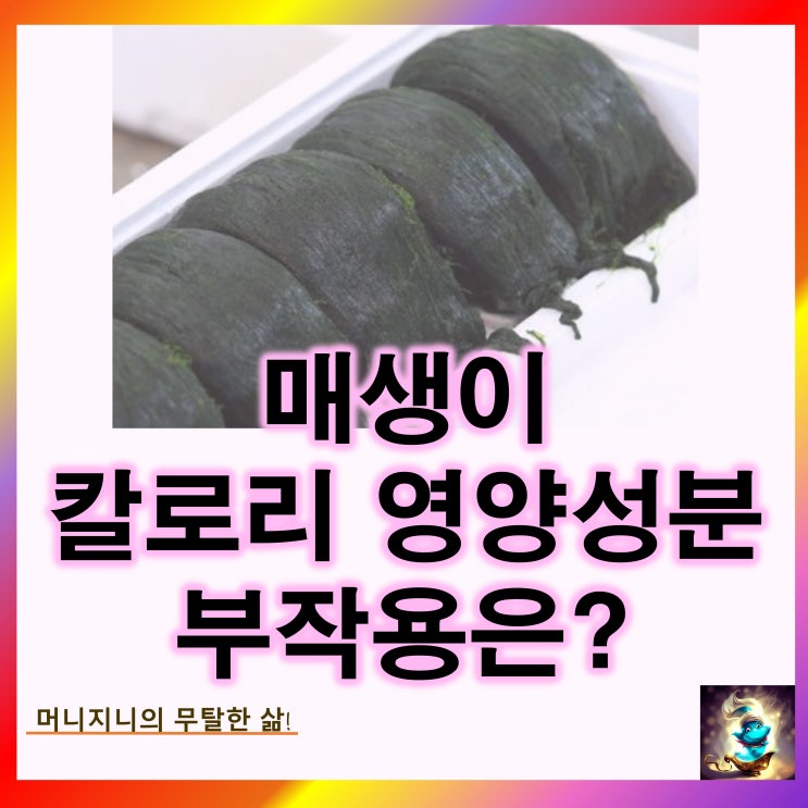 매생이 칼로리 영양성분 부작용 및 매생이 철 네이버 블로그