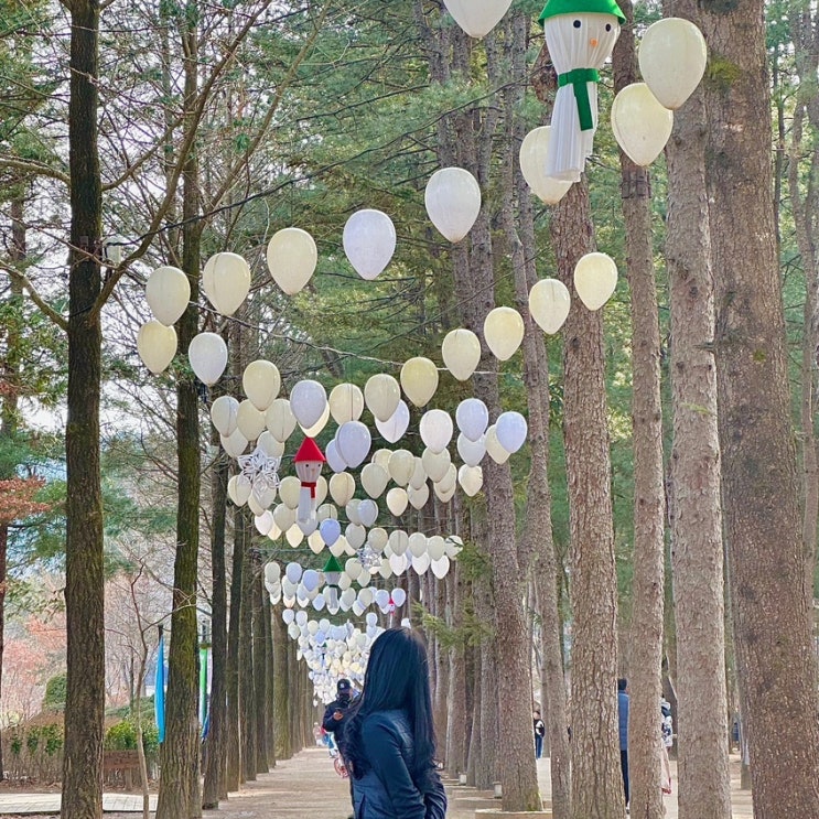 춘천 겨울 남이섬 즉흥 당일치기 여행 2인 커플자전거 타보기 네이버 블로그
