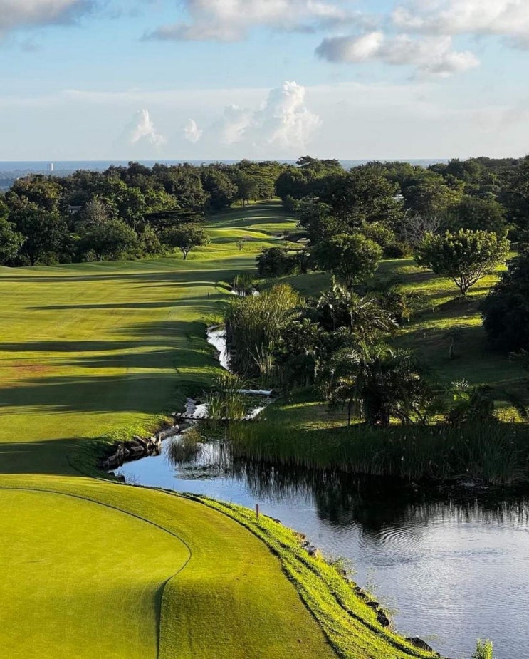 VIPINGO RIDGE PGA BAOBAB COURSE[케냐 비핑고주] : 네이버 블로그
