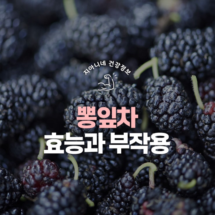 뽕잎차 효능 및 부작용, 주의사항 정리 : 네이버 블로그