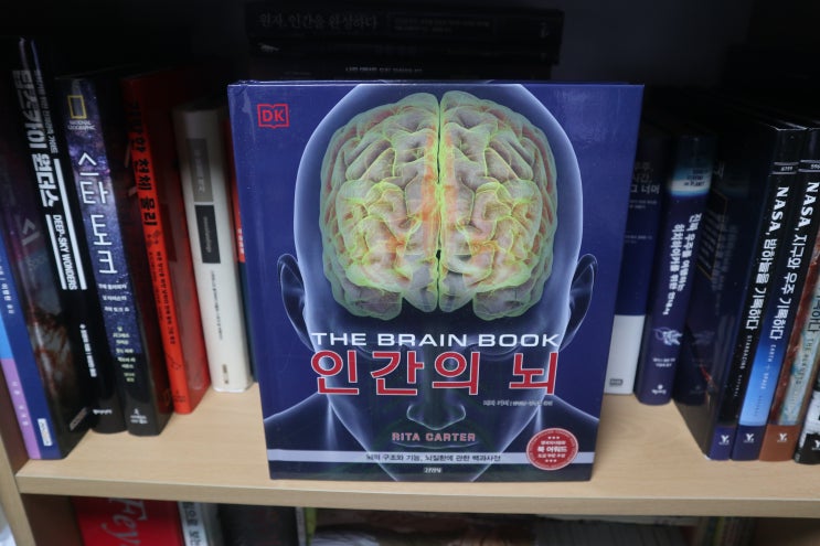 [No 6240] DK 인간의 뇌 - 뇌의 구조와 기능, 뇌질환에 관한 백과사전 The Brain Book (2009년 ...