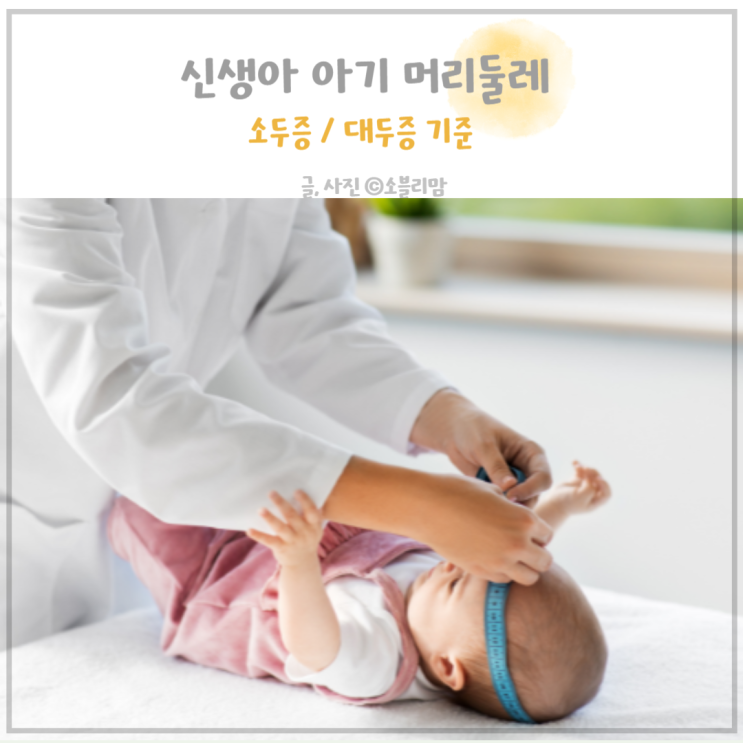 신생아 아기 머리둘레 재는법 소두증 대두증 기준 네이버 블로그