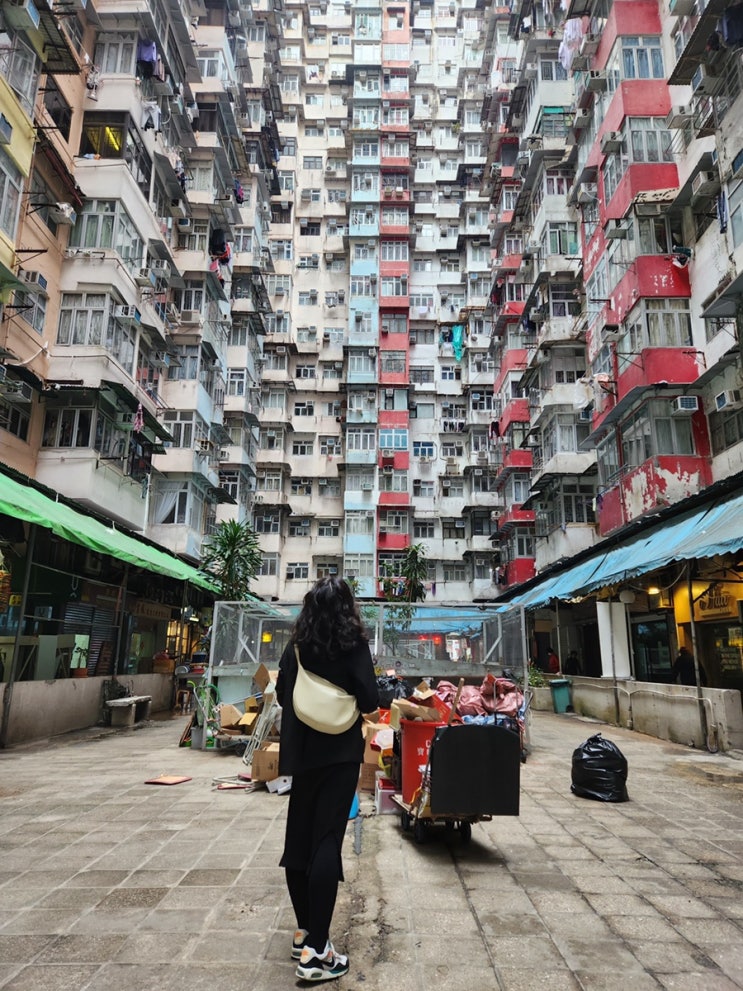 부모님과 함께한 홍콩여행 2박3일 여행 일정 케세이퍼시픽 항공 하버 그랜드 호텔 디즈니랜드백화점 제외 네이버 블로그