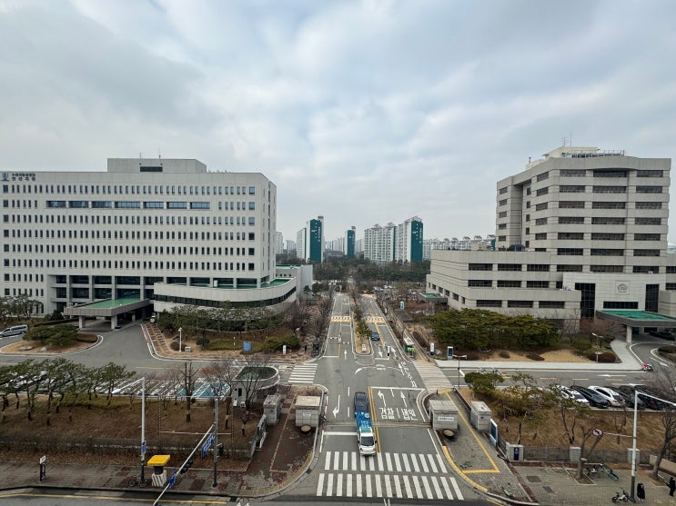 허위세금계산서 발행으로 탈세 조세범처벌법 위반 사례 네이버 블로그