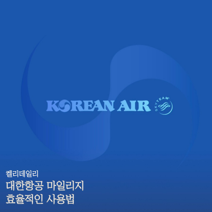 효율적인 대한항공 마일리지 사용법 사용처 가족 마일리지 양도 방법 네이버 블로그