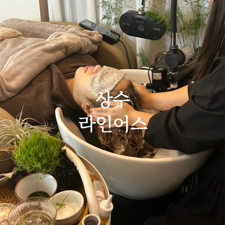 상수역 미용실 라인어스 힐링 헤드스파로 두피관리 네이버 블로그