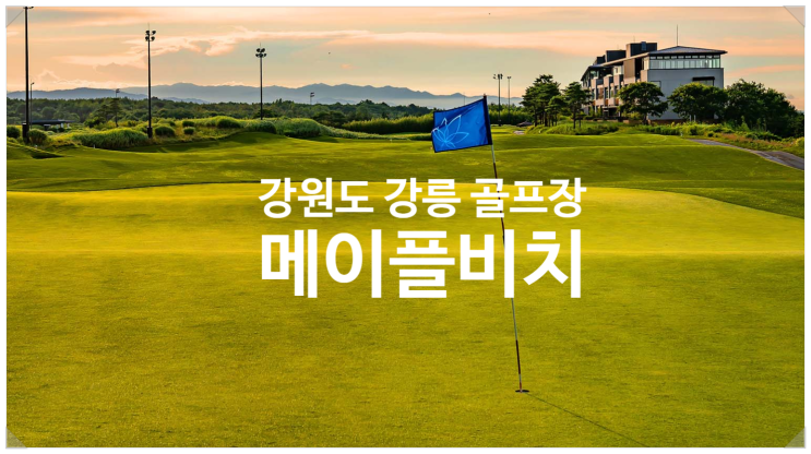 강원도 골프장 강릉 메이플비치cc 스크린골프 네이버 블로그