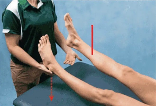 Hoover’s Test 허리통증이 꾀병인지 아닌지 알아보는 검사 방법에 대해 알아보자 : 네이버 블로그