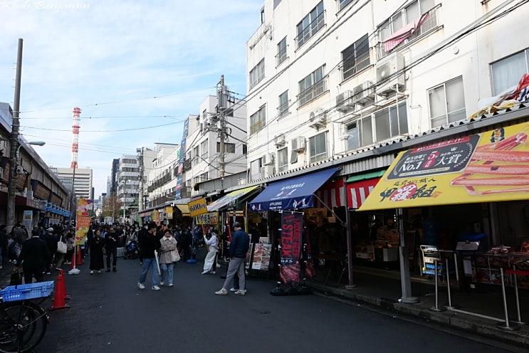 일본 도쿄 여행 코스 아침 츠키지시장 맛집 우니토라 스시쿠니 카이센동 네이버 블로그