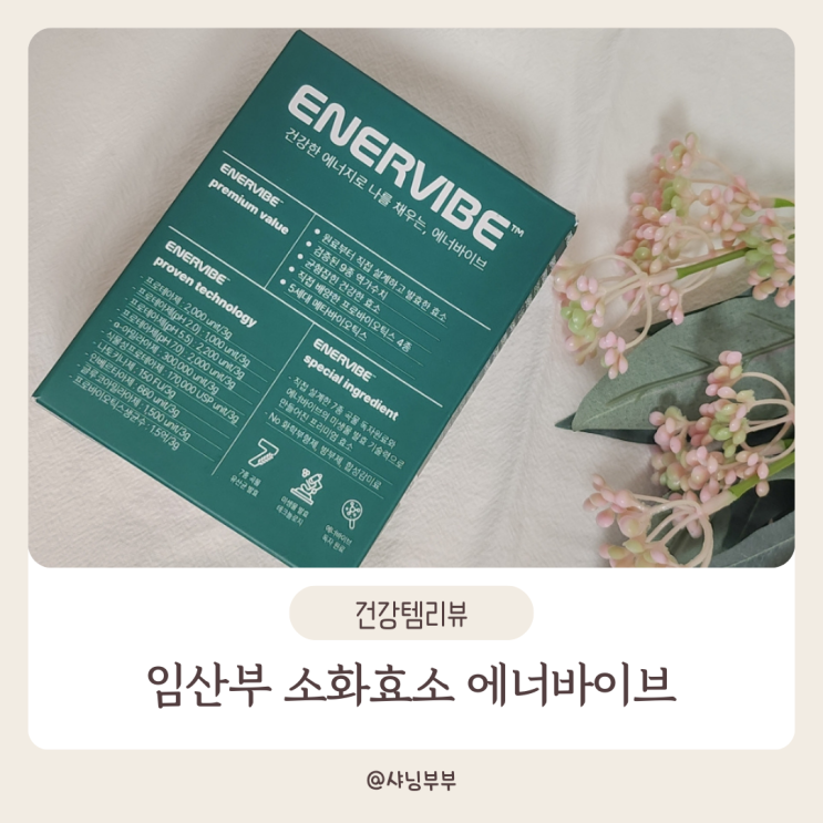 소화효소제 에너바이브 임산부소화불량 소화가안될때 추천 : 네이버 블로그
