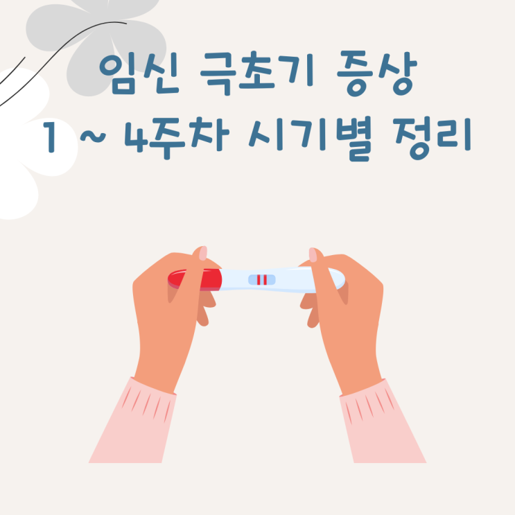임신 극초기증상 시기 1주차 2주차 3주차 4주차 네이버 블로그
