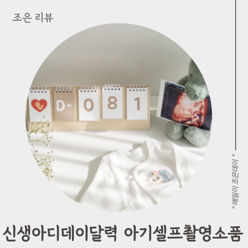 육오빠 신생아 디데이 달력 아기셀프촬영소품 탁상용캘린더 네이버 블로그