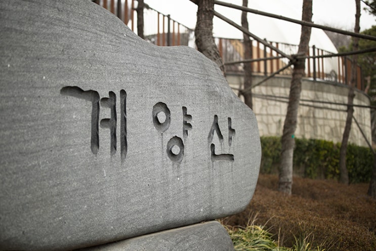 인천 계양산 등산코스 왕복 초보자 등산로 코스 시간 네이버 블로그