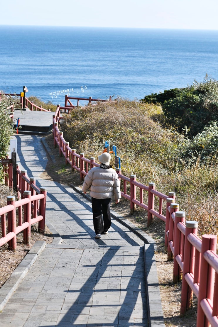 제주도 힐링 스팟 용머리해안 물때 시간 지오트레일 하멜기념비 : 네이버 블로그